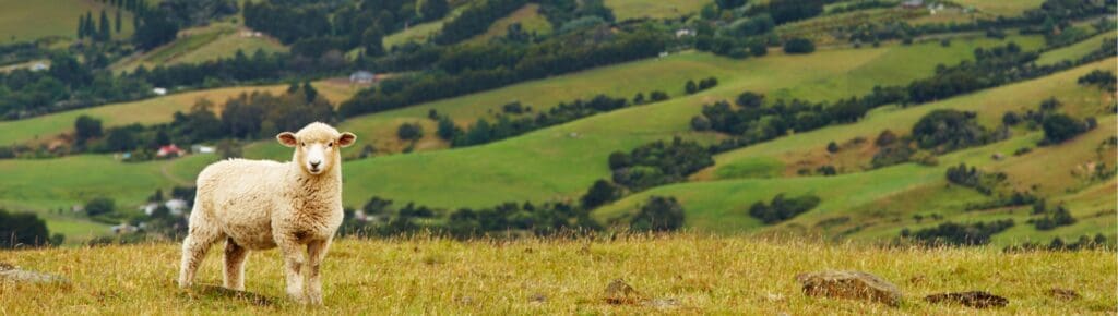 Our locations | LifeCare